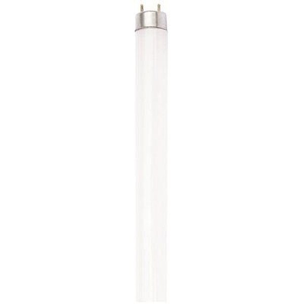 CS/30 F32/T8 48" Fluorescent Light Bulb, 5000K